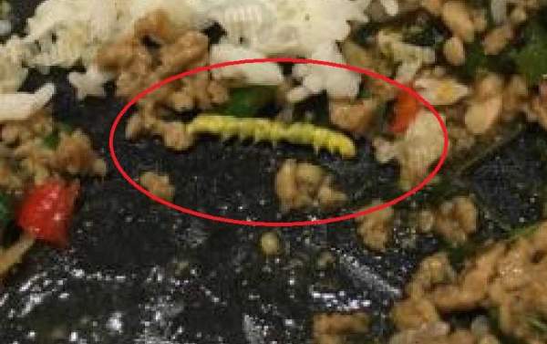 VIVO CITY THAI EXPRESS FRIED RICE HAVE EXTRA JUICY WORM