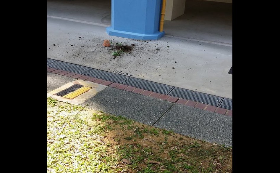 KILLER LITTER @ PASIR RIS. POTTED PLANT SMASH TO PIECES