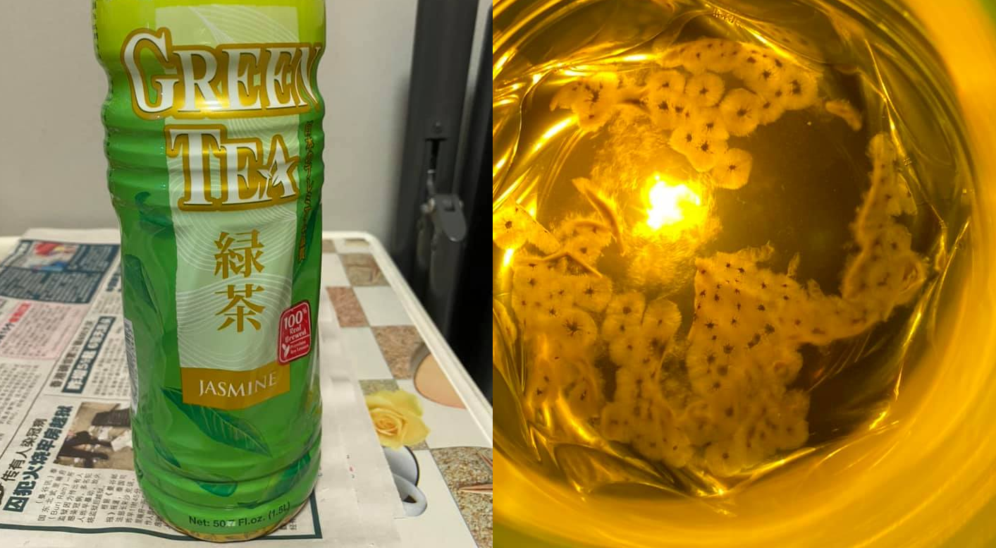 MAN FIND DISGUSTING SUBSTANCES IN POKKA BOTTLED GREEN TEA