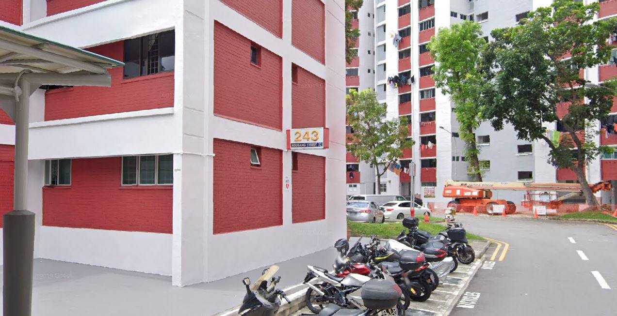 PYTHON SWALLOWED CAT IN HOUGANG, CAPTURED BY ACRES