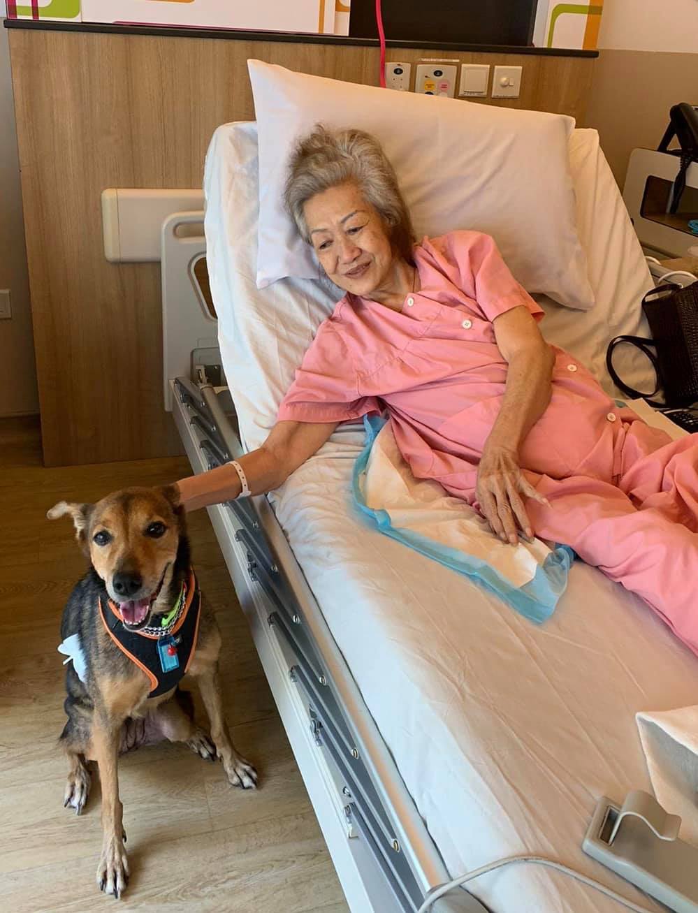 ELDERLY REUNITED WITH PET DOG 1 MTH AFTER SHE WAS ADMITTED INTO HOSPICE