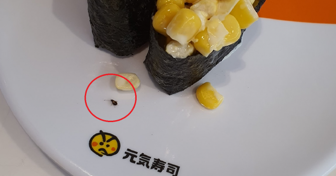COCKROACH ALLEGEDLY FOUND IN SUSHI AT GENKI SUSHI WATERWAY OUTLET