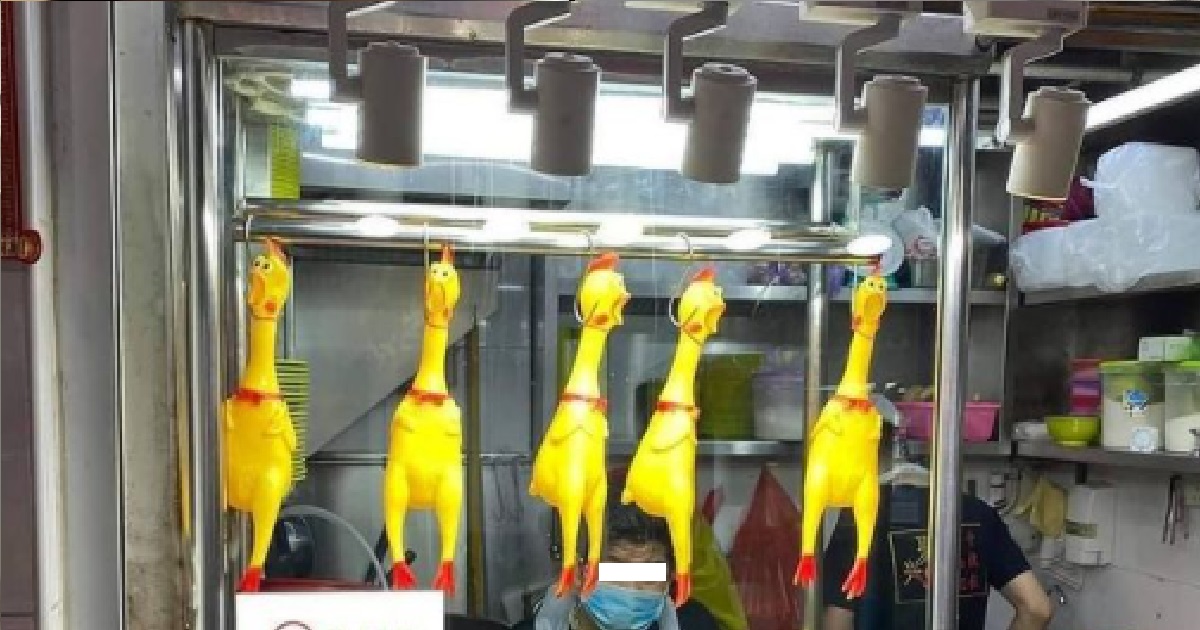 CHICKEN RICE STALL DISPLAYS RUBBER CHICKEN INSTEAD OF REAL CHICKEN