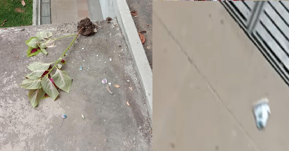 FLYING FLOWER POT FLEW DOWN FROM A HDB BLOCK IN SINGAPORE