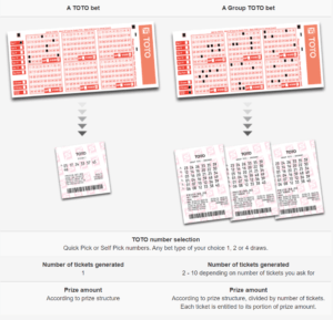 TOTO, HOW TO PLAY & THE CHANCES OF HITTING THE JACKPOT