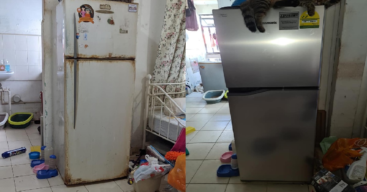 NEEDY FAMILY WITH RUSTY FRIDGE GETS NEW ONE FROM KIND SAMARITANS