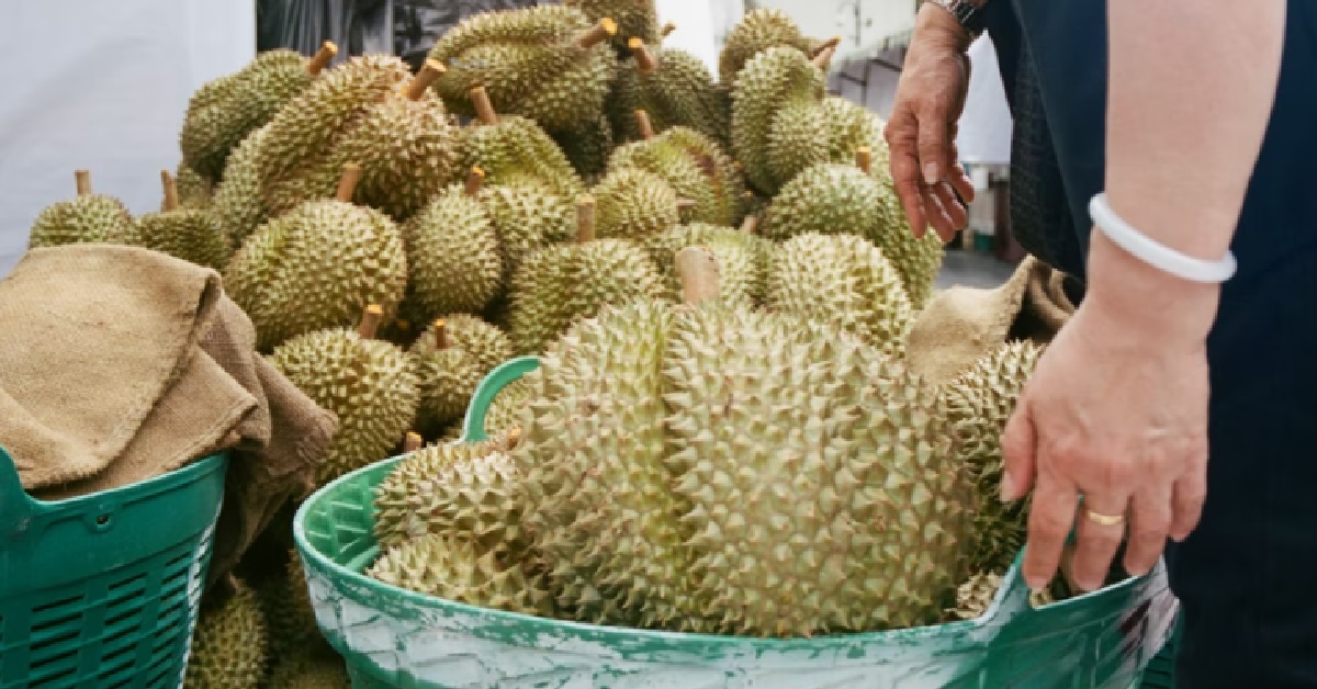DURIANS BECOMING CHEAPER - DURIAN SEASON IN M'SIA, SAME DAY DELIVERY