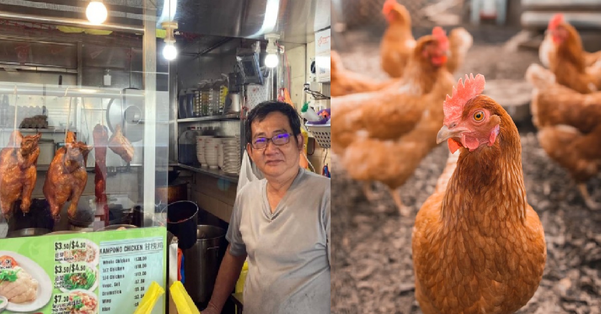 HAWKER LOSING $3K/MTH AFTER SWITCHING TO KAMPUNG CHICKENS, CLOSING DOWN