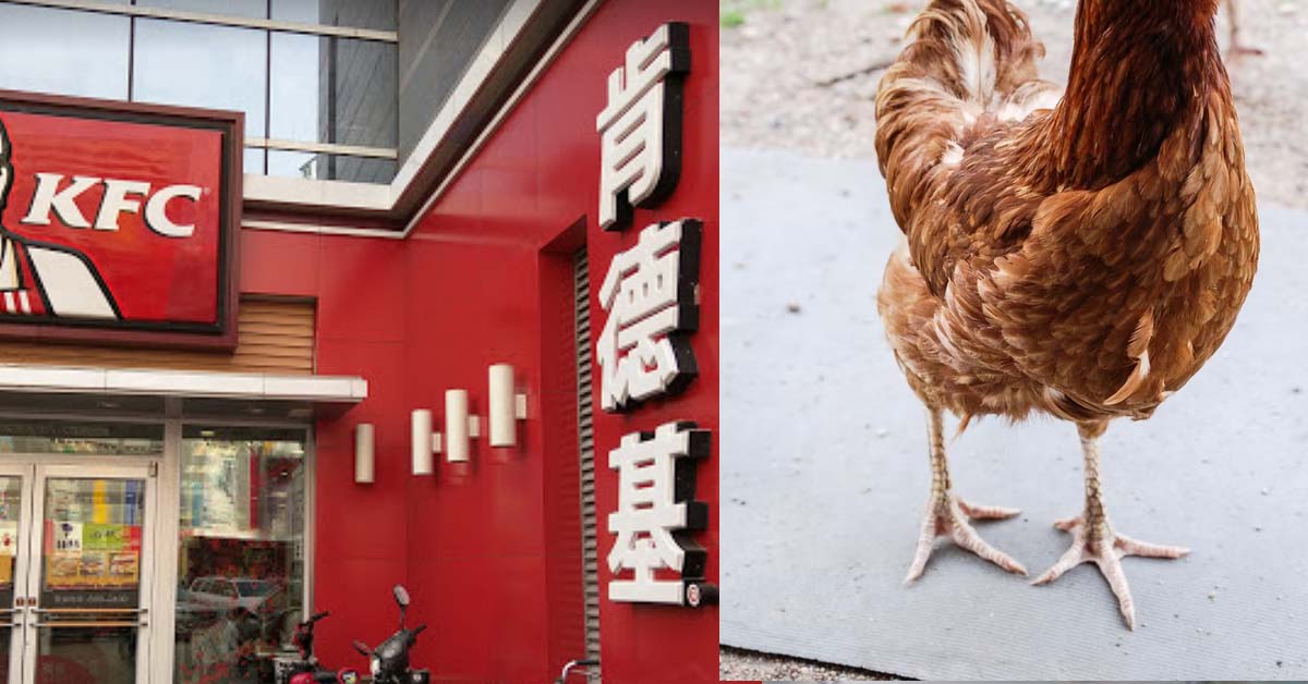 CHINA KFC TO SERVE CHICKEN FEET ON THEIR MENU TO FIGHT RISING COST