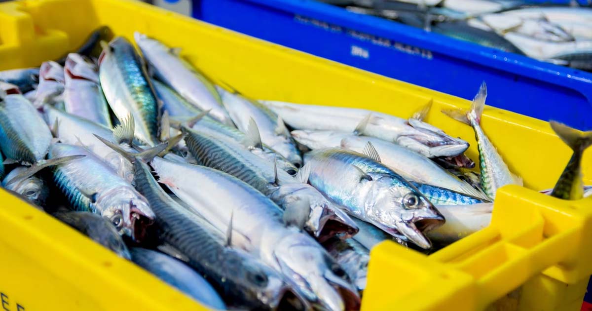 5 Y.O GIRL IN TAIWAN SUFFERS FROM UNCURABLE GENETIC FISH-ODOUR SYNDROME