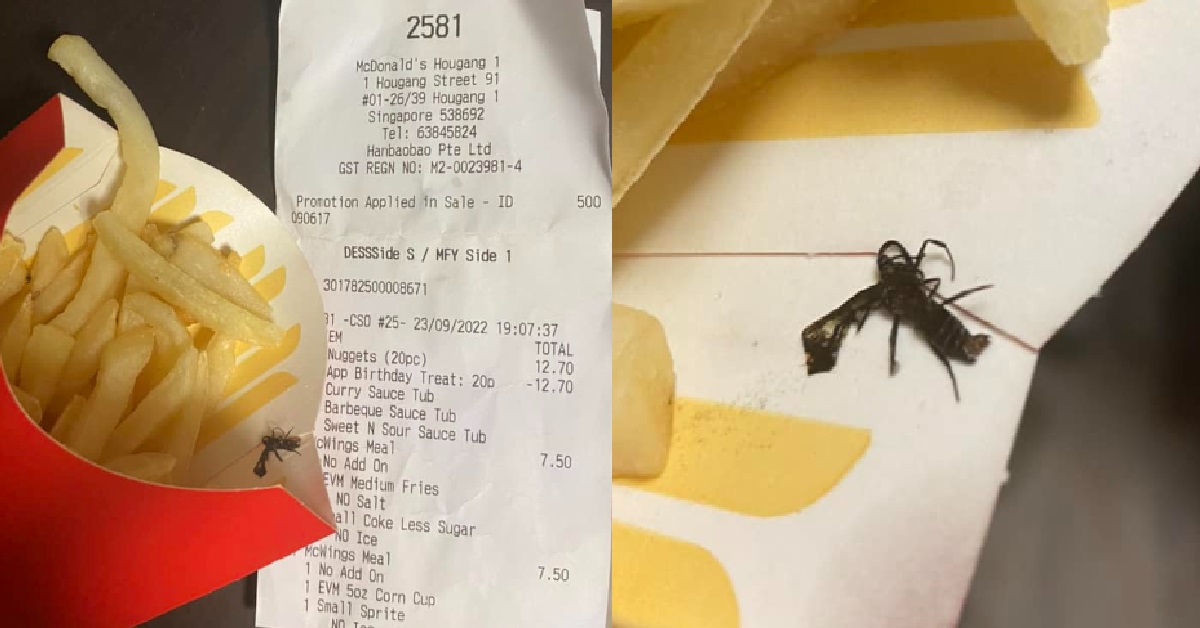 WOMAN BOUGHT MCDONALD'S AND GOT A FREE SIDE OF DEAD FLY INSIDE HER FRIES