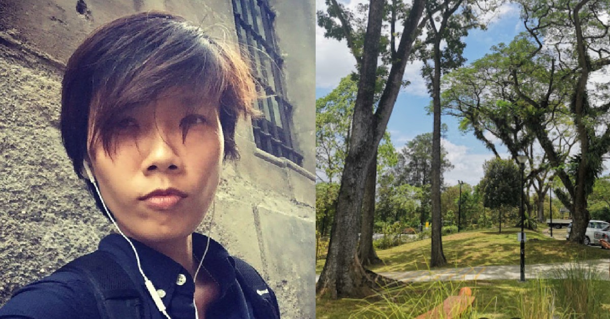 FALLING TREE THAT KILLED 38 Y.O WOMAN @ MARSILING PARK, HAD TERMITE ...