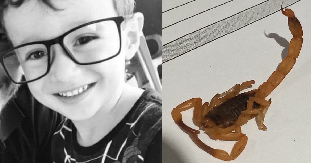 7 Y.O BOY GOT STUNG BY A SCORPION, DIED AFTER SUFFERING 7 HEART ATTACKS