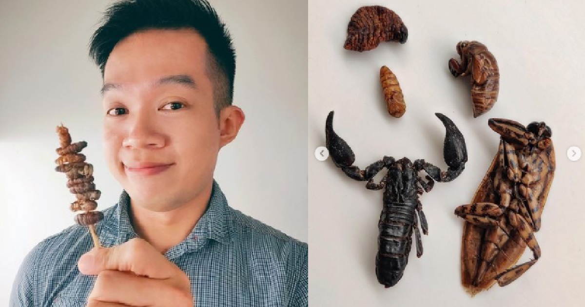 S'PORE MAN EATS INSECTS SUCH AS SCORPIONS & CICADAS - "NEW SOURCE OF ...