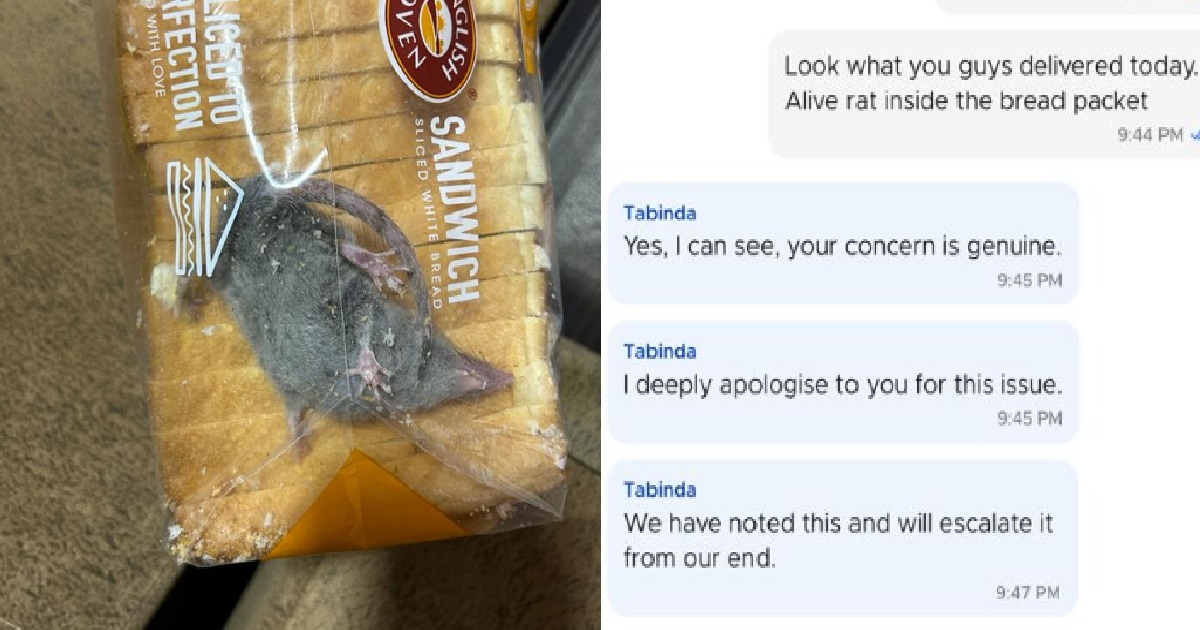 MAN FOUND A WHOLE RAT INSIDE HIS BREAD PACKET ORDERED FROM DELIVERY ...
