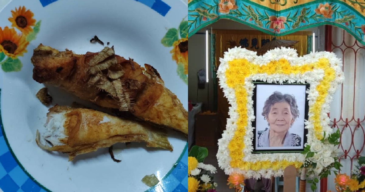 83 Y.O AH MA DIED AFTER COOKING & EATING PUFFERFISH BOUGHT ON FACEBOOK ...
