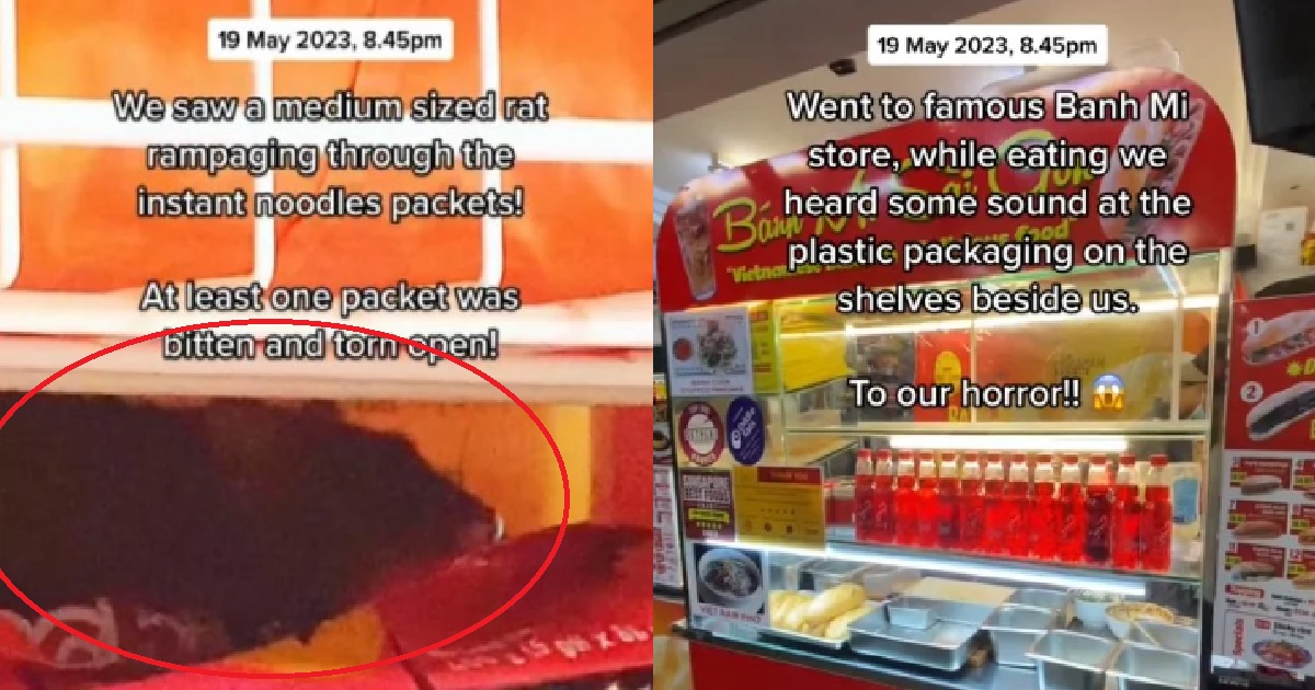 "MEDIUM-SIZED RAT" SEEN CHEWING ON INSTANT NOODLES @ AMK VIETNAMESE STALL