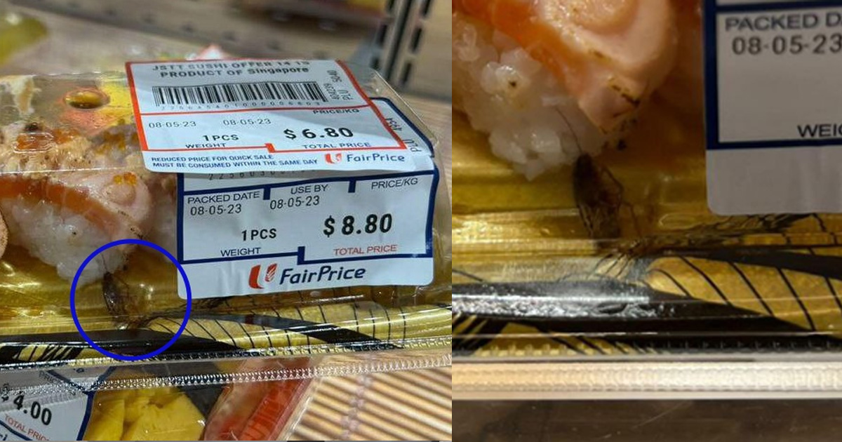 INFESTED SUSHI: COCKROACH SPOTTED IN FAIRPRICE SUSHI