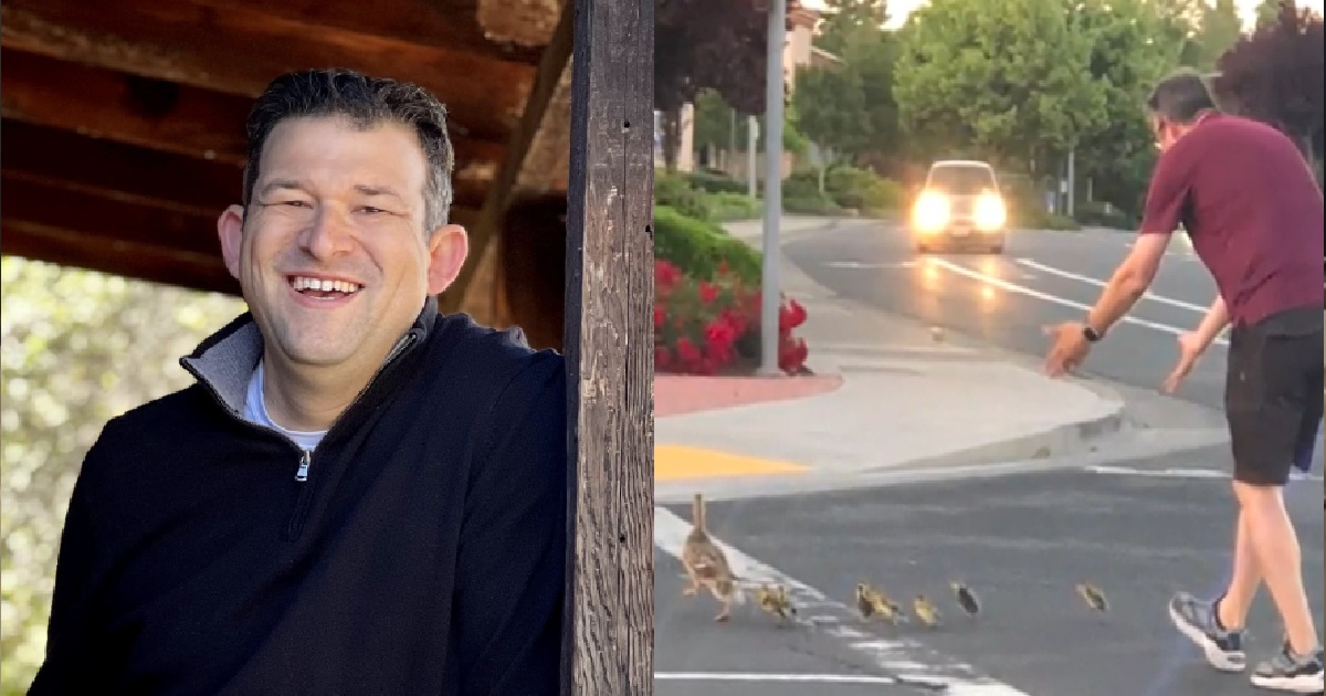 U.S MAN HELPED FAMILY OF DUCKS TO CROSS ROAD, THEN HE GETS HIT BY CAR ...