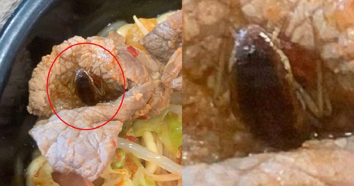 WOMAN FOUND COCKROACH CAMPING INSIDE HER FOOD FROM KOREAN EATERY ...