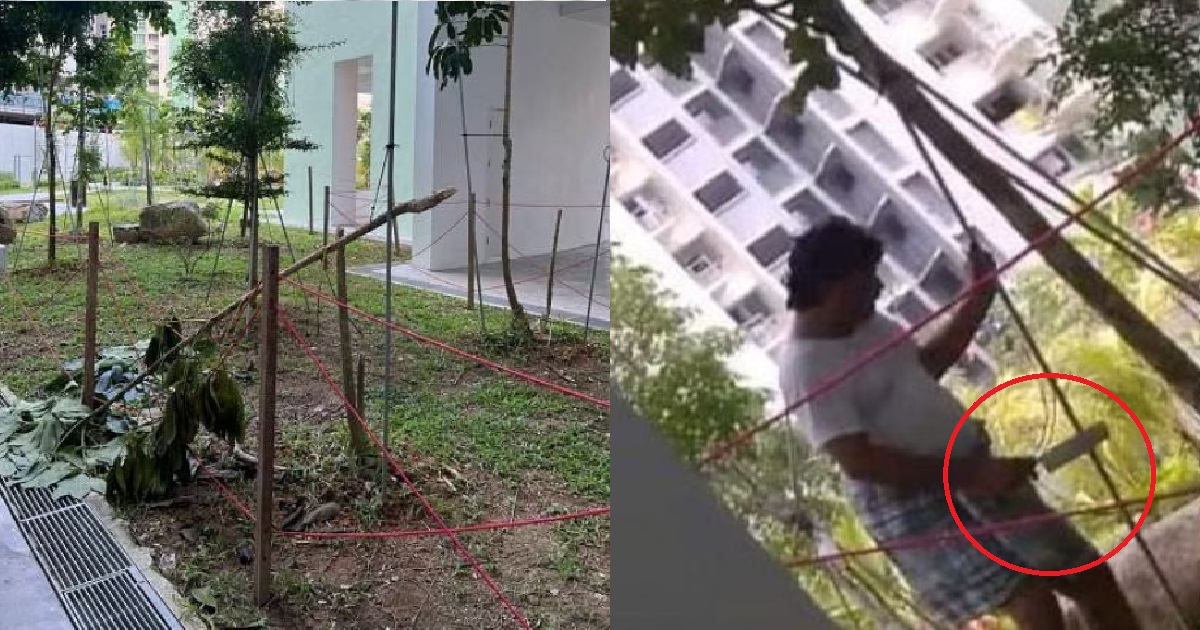 MAN WHO ILLEGALLY CHOPPED DOWN TREE AT NEW TAMPINES HDB, WANTED BY TOWN ...