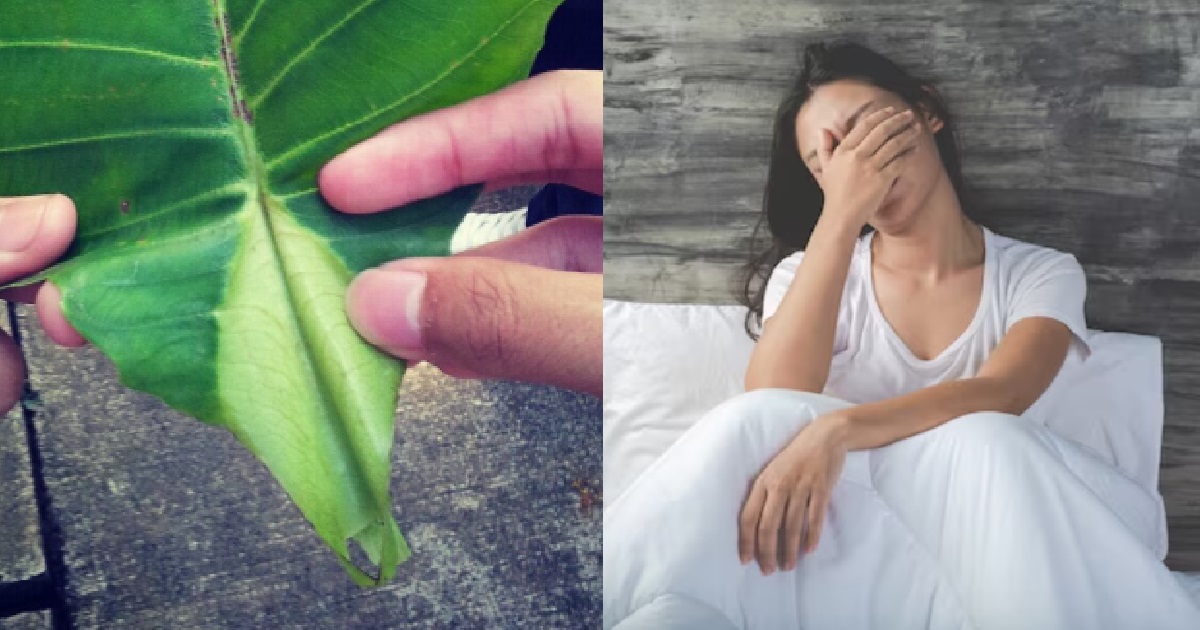 WOMAN PLAY BF'S KKJ LIKE TRUMPET BUT HE REFUSE TO EAT HER CB, SAY THERE ...