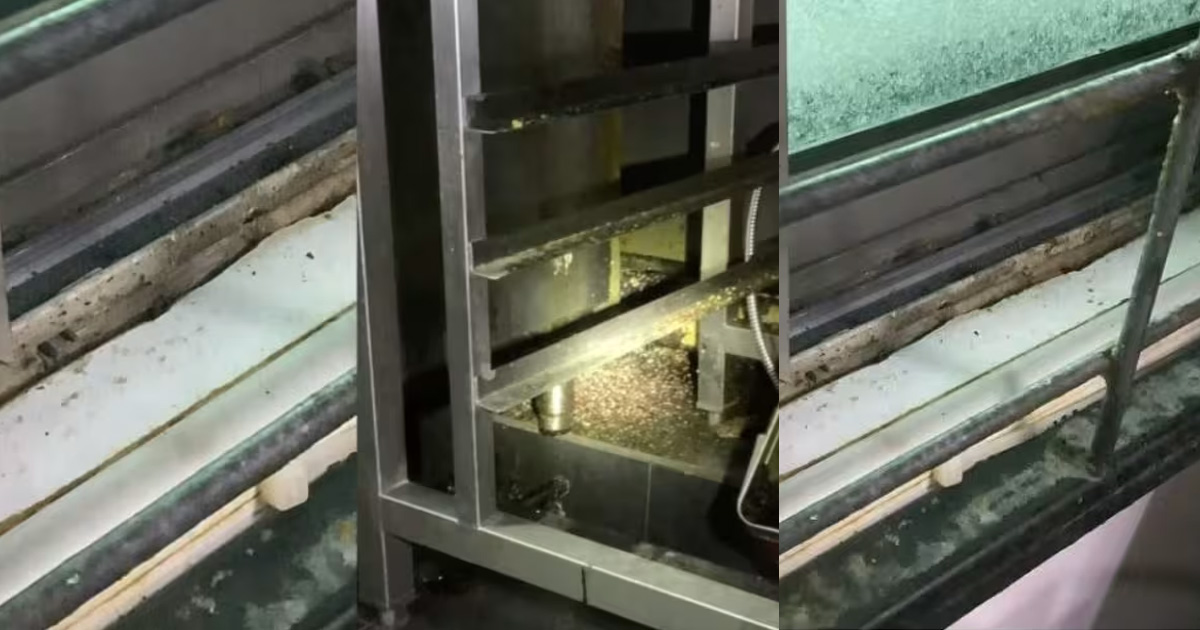 92 PEOPLE SUFFERS FOOD POISONING: KG CATERING FINED FOR PEST INFESTATIONS