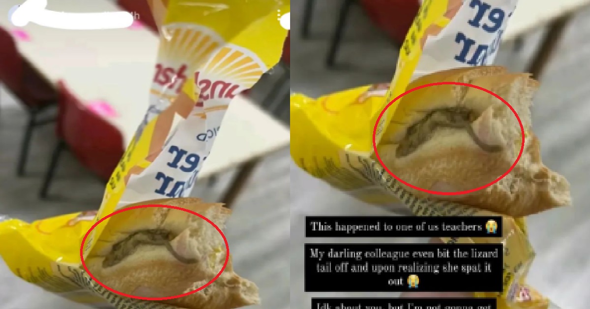 "DEAD LIZARD" FOUND IN SUNSHINE BREAD, BAKERY SAYS IT'S "BREAD DOUGH ...