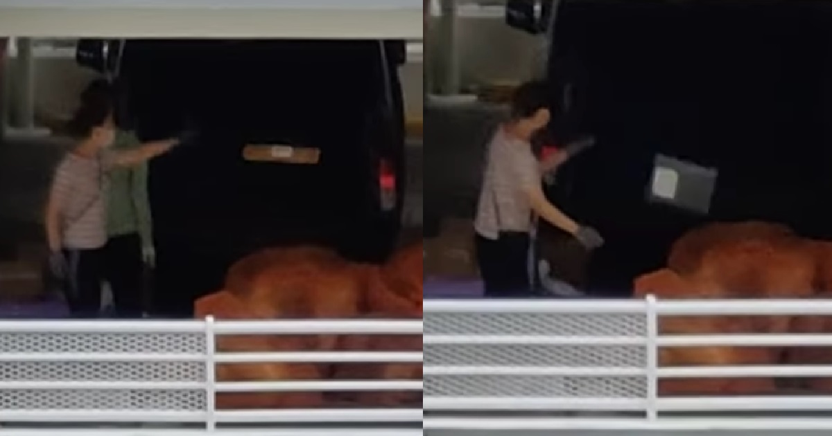 DELIVERY PARCELS FLYING LEFT, RIGHT & CENTRE AS COURIERS THROW THEM ...