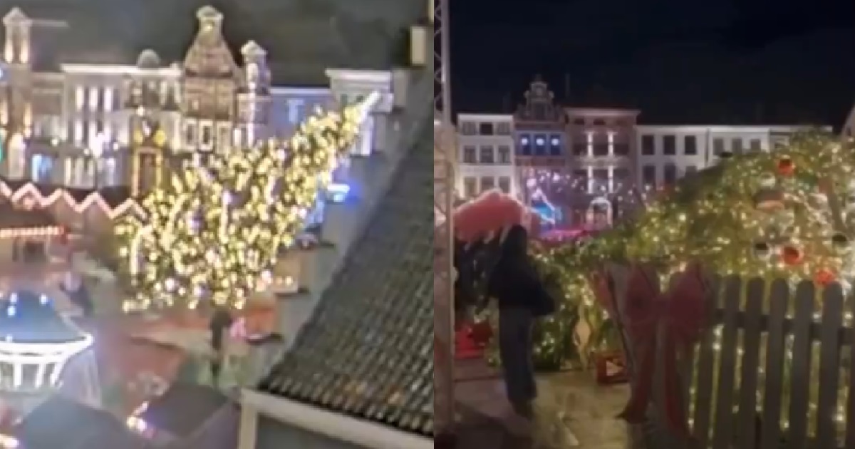 63 Y.O WOMAN KILLED BY LARGE CHRISTMAS TREE THAT COLLAPSED & CRUSHED HER