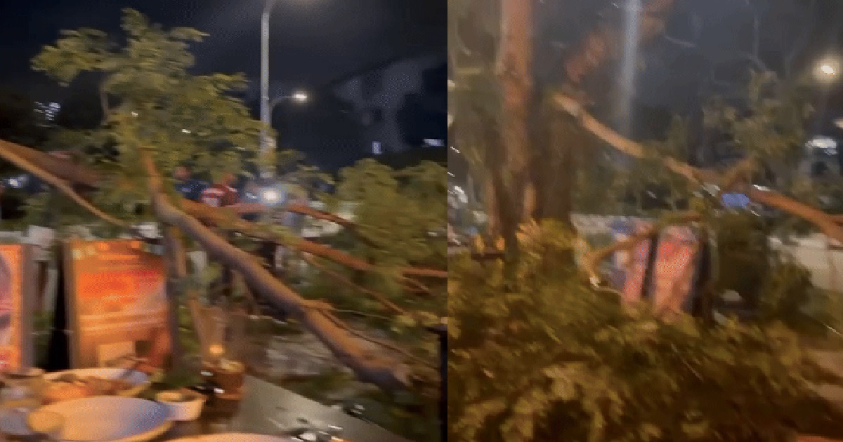 3 PEOPLE HIT BY HUGE FALLING TREE BRANCH @ EAST COAST RESTAURANT, WOMAN ...