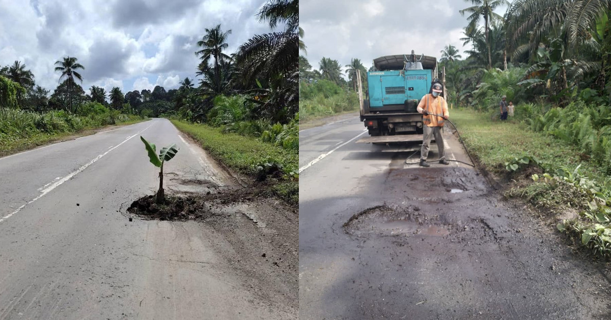 M'SIAN POTHOLE SO ANNOYING THAT MAN PLANTS A TREE TO FORCE AUTHORITIES ...