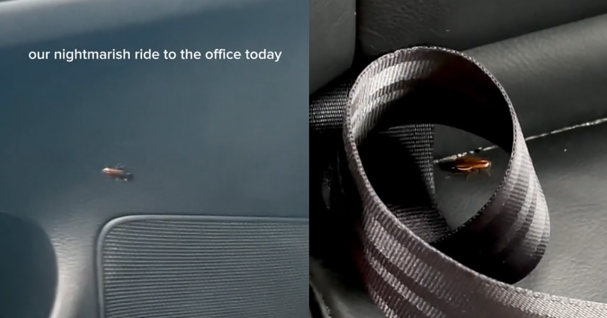 GOJEK RIDE INFESTED WITH 6 COCKROACHES, WOMAN TRAUMATISED FOR 40 MINS