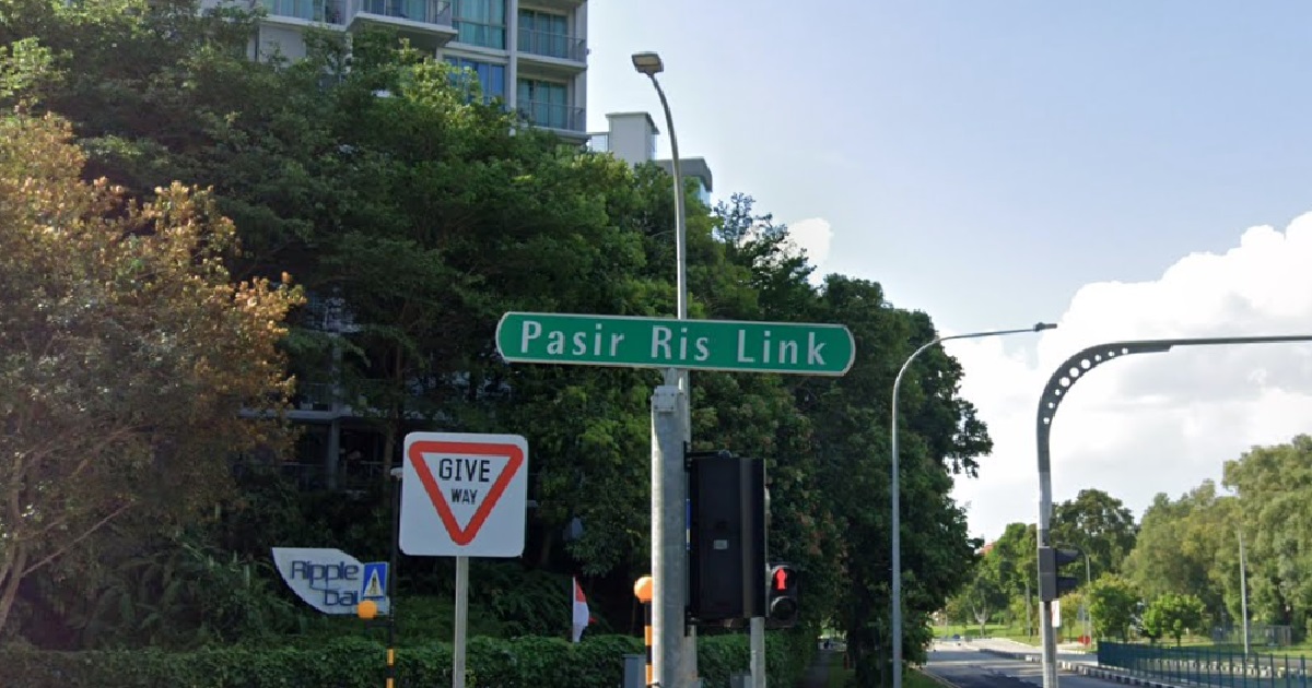 GRAND THEFT AUTO ALONG PASIR RIS LINK, SUSPECT APPREHENDED IN 5 HOURS