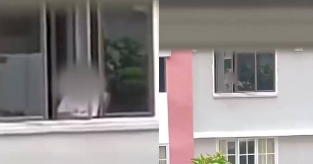 TAMPINES WOMAN STAND AT WINDOW SHOUT FROM 7AM TO 10PM DAILY