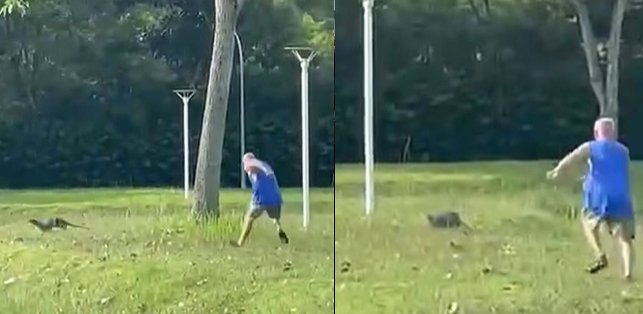 MAN CAUGHT STONING AND CHASING OTTERS AT LORONG HALUS