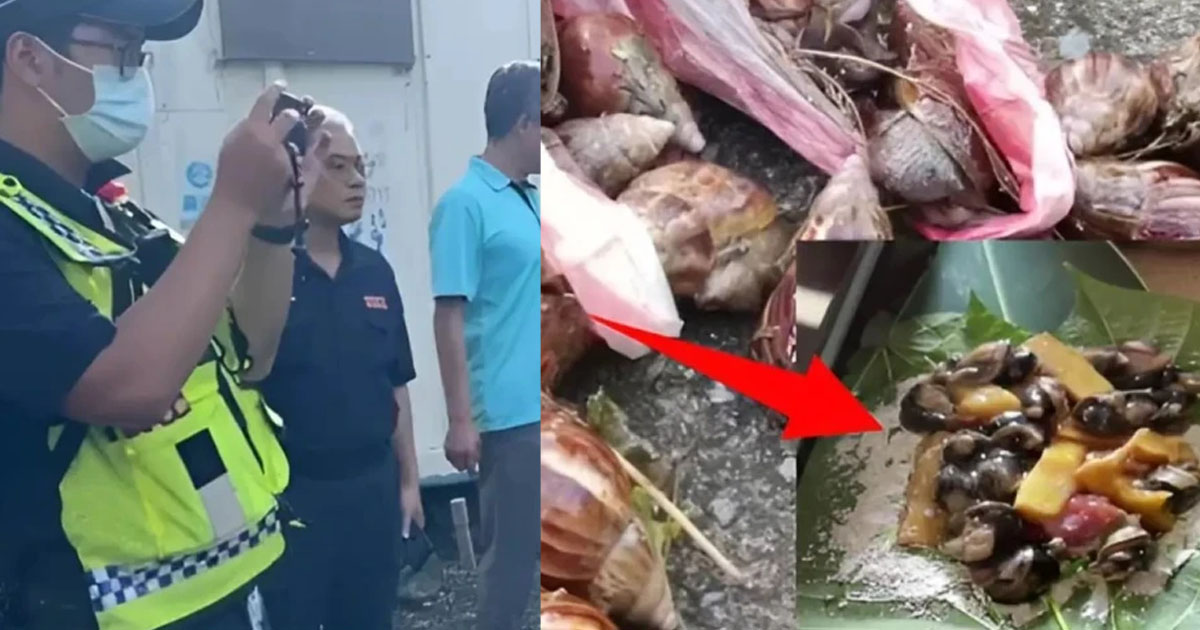 Elderly Woman's Homemade Snail Rice Dumplings "Ba Zhang" Lead to ...