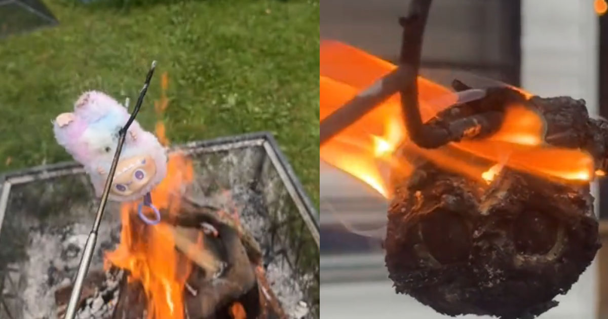 PEOPLE BURNING THEIR LABUBU DOLLS: THEORY LINKING THEM TO DEMON PAZUZU