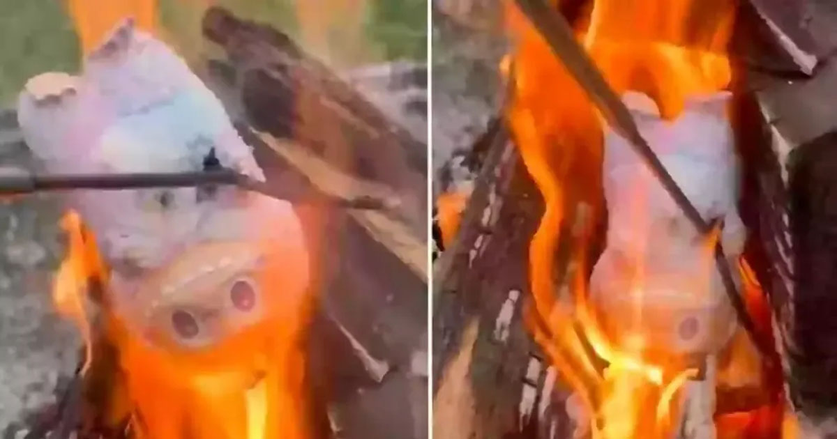 PEOPLE BURNING THEIR LABUBU DOLLS: THEORY LINKING THEM TO DEMON PAZUZU