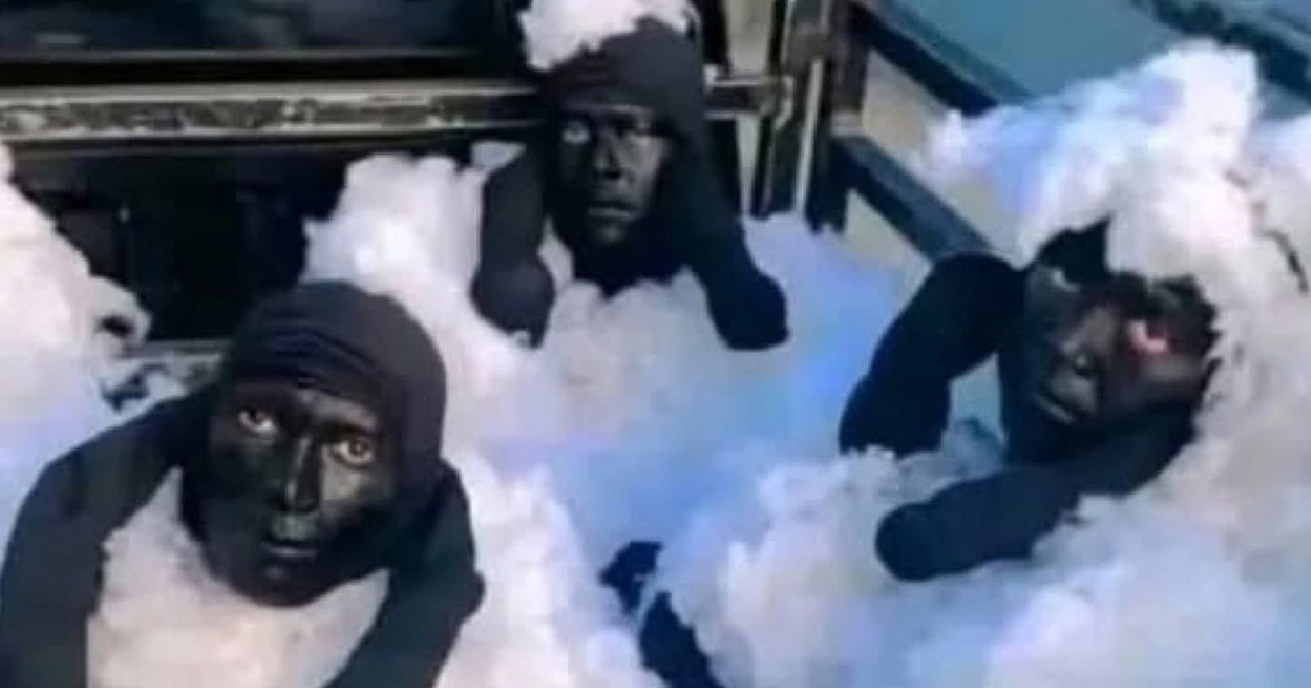 3 MEN CAUGHT DISGUISED AS SHEEP TRYING TO SNEAK THROUGH SPAIN'S BORDER