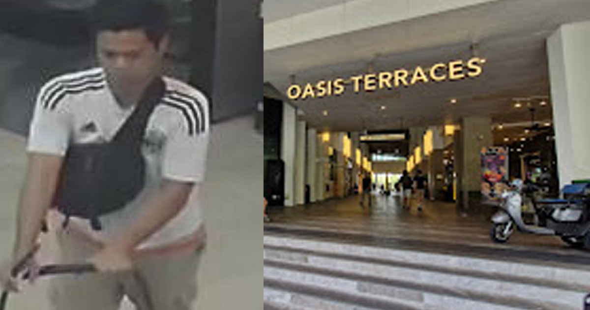 Singapore Police Appeal for Public’s Help Over Shop Theft at Oasis Terraces