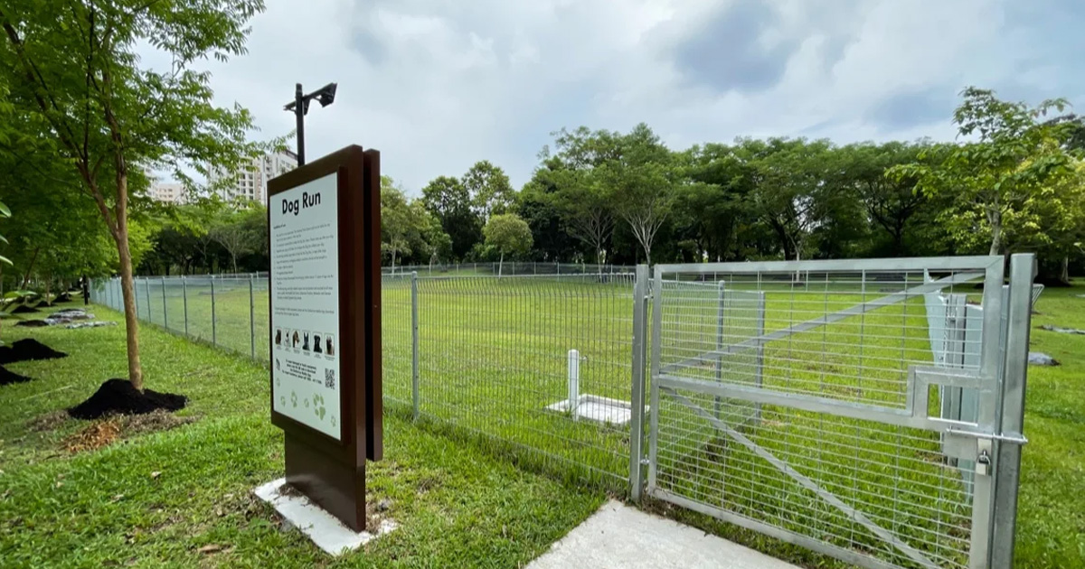 Man, 36, Found Dead In Forested Area Near Punggol Waterway Park Dog Run